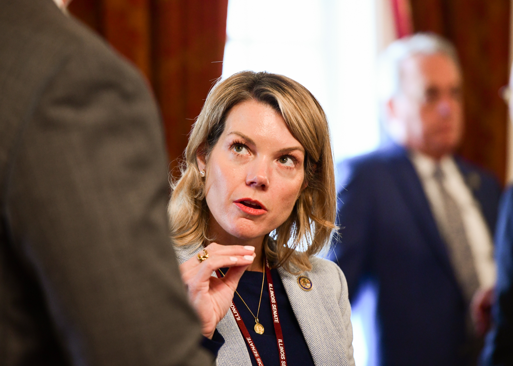 Erica Harriss State Senator 56th District Illinois Senator