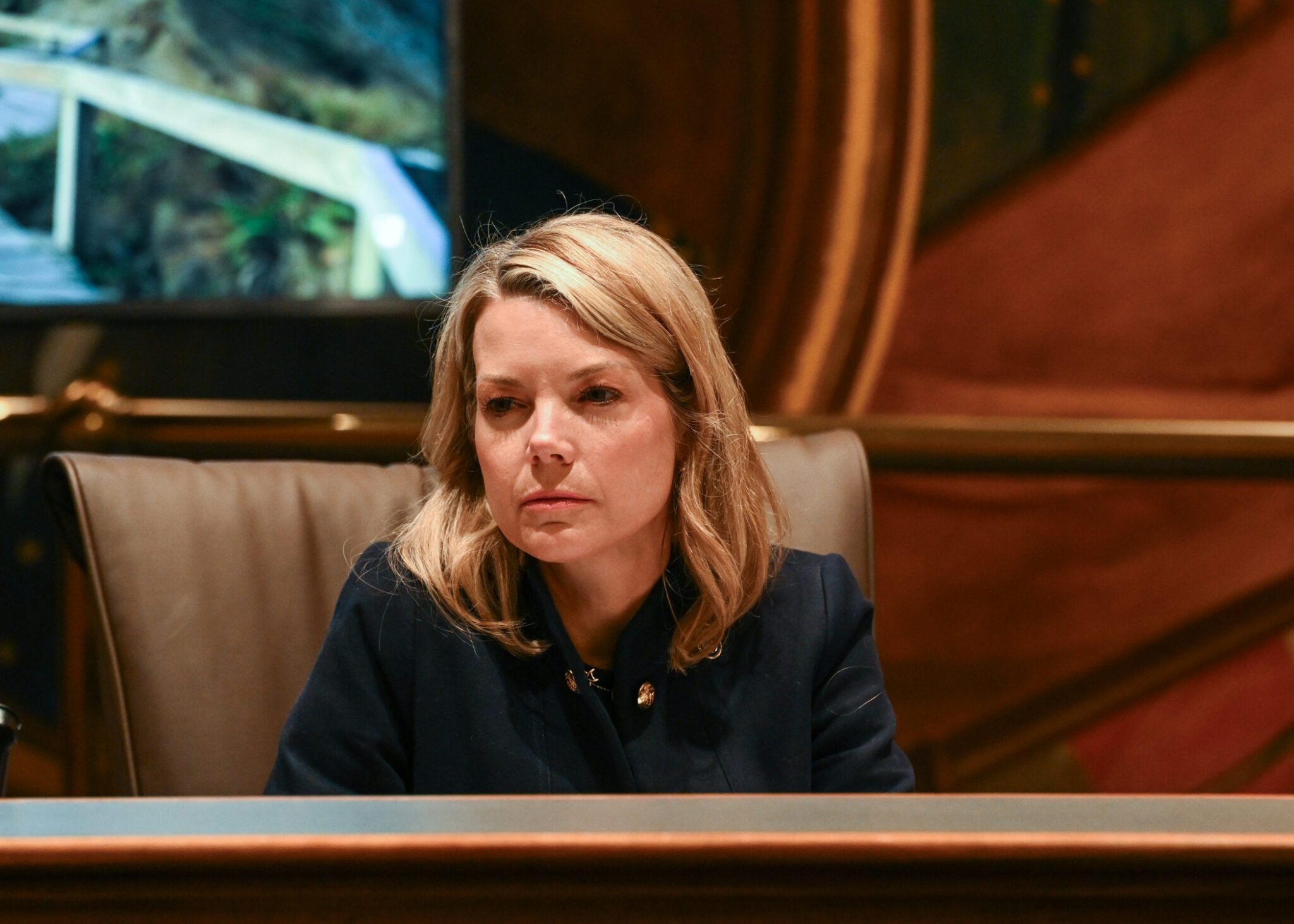 Erica Harriss - State Senator | 56th District Illinois Senator